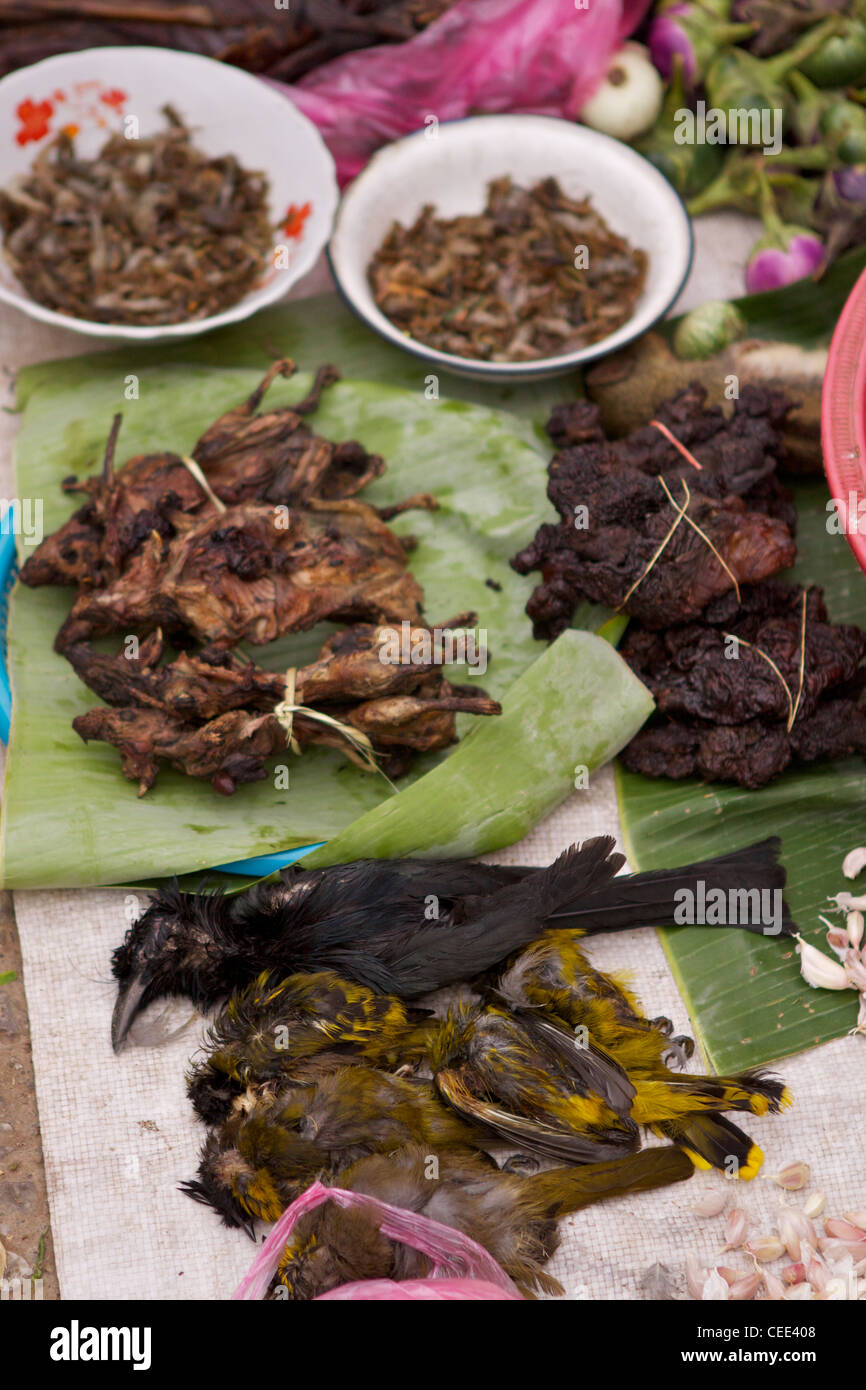 Dead wild birds, cooked rats and bowls of river shrimps on palm leaves ...