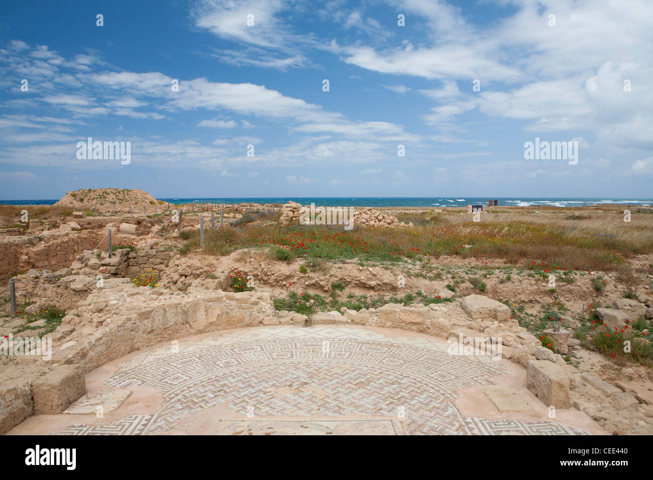 mosaics in the House of Theseus House of Dionysus, Tombs of the kings ...
