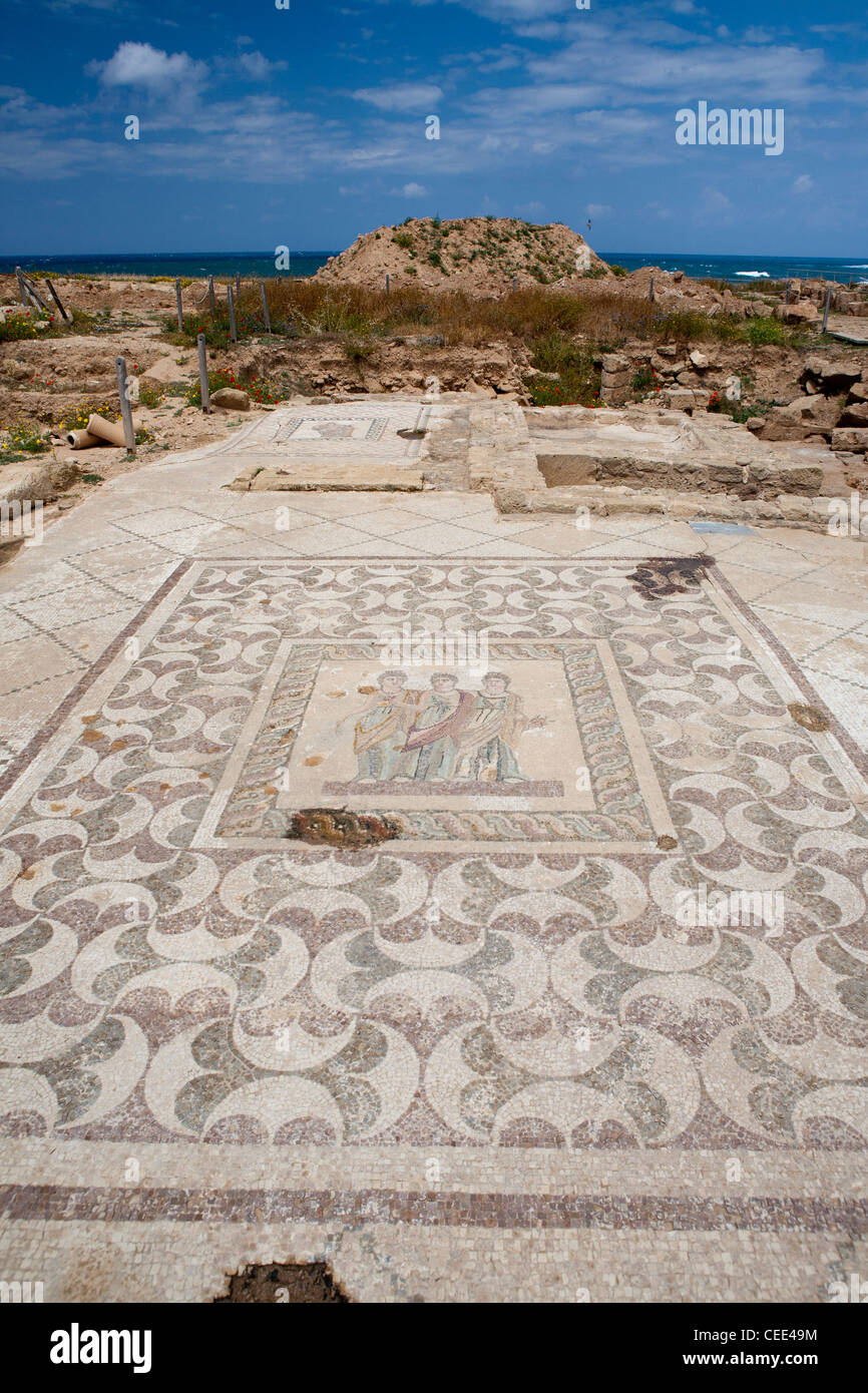 mosaics in the House of Theseus House of Dionysus, Tombs of the kings ...
