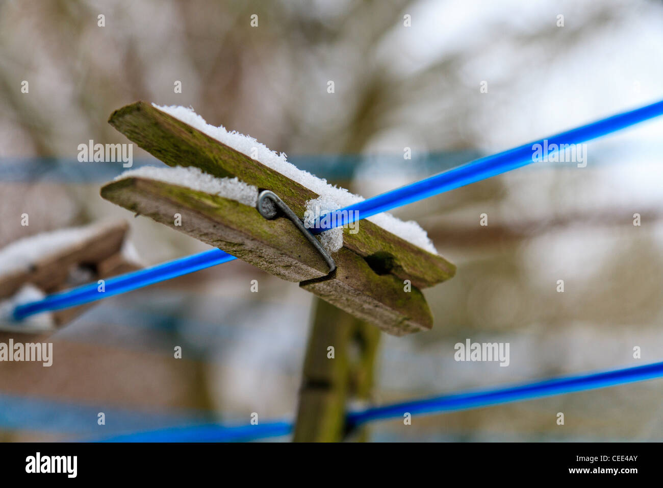 Snow covered clothes peg on a washing line Stock Photo - Alamy