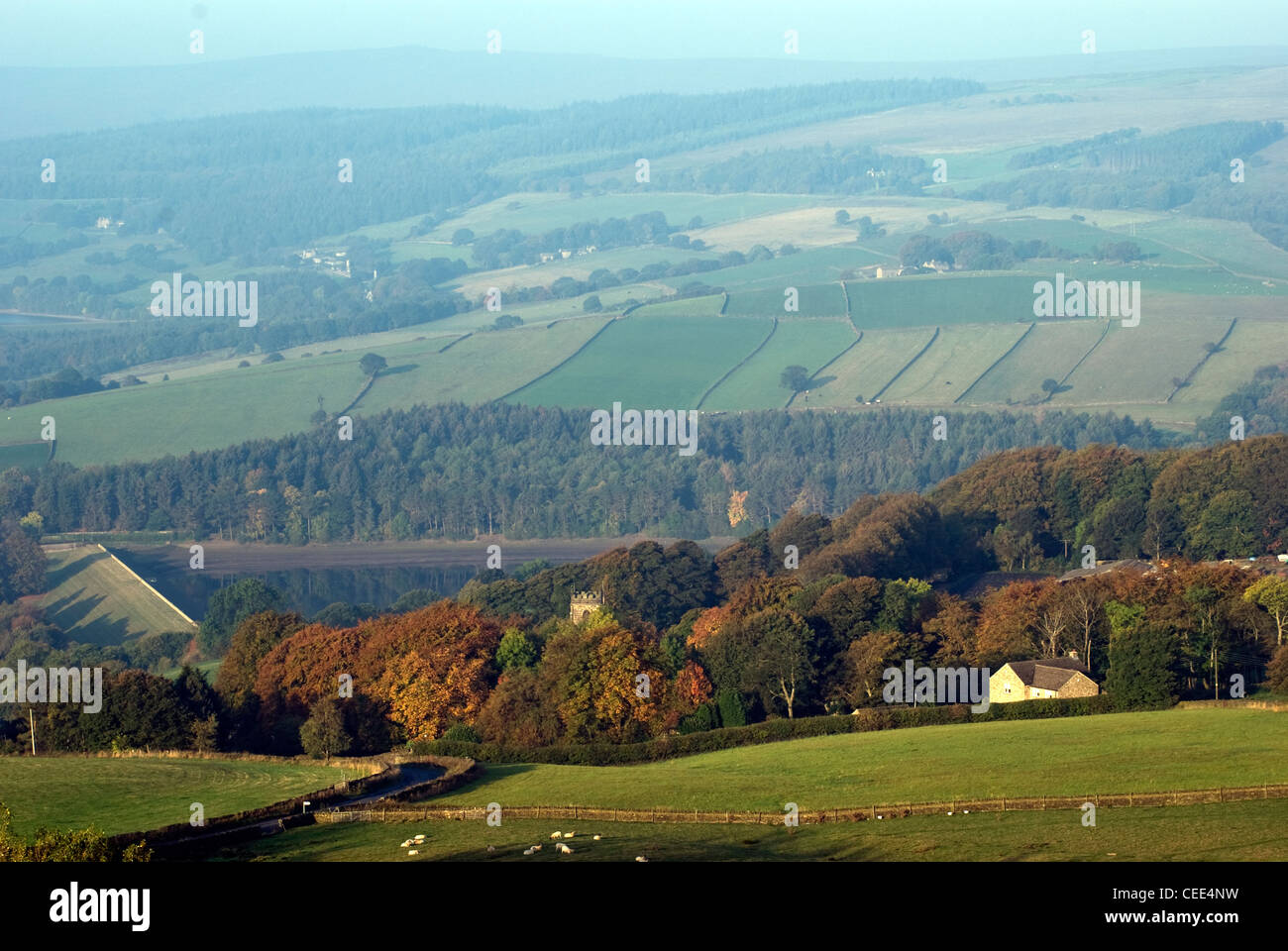 color off light Stock Photo - Alamy