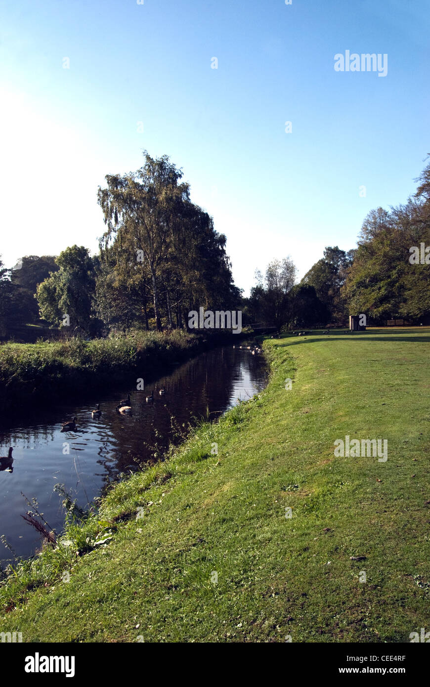 on the river Dearne Stock Photo - Alamy