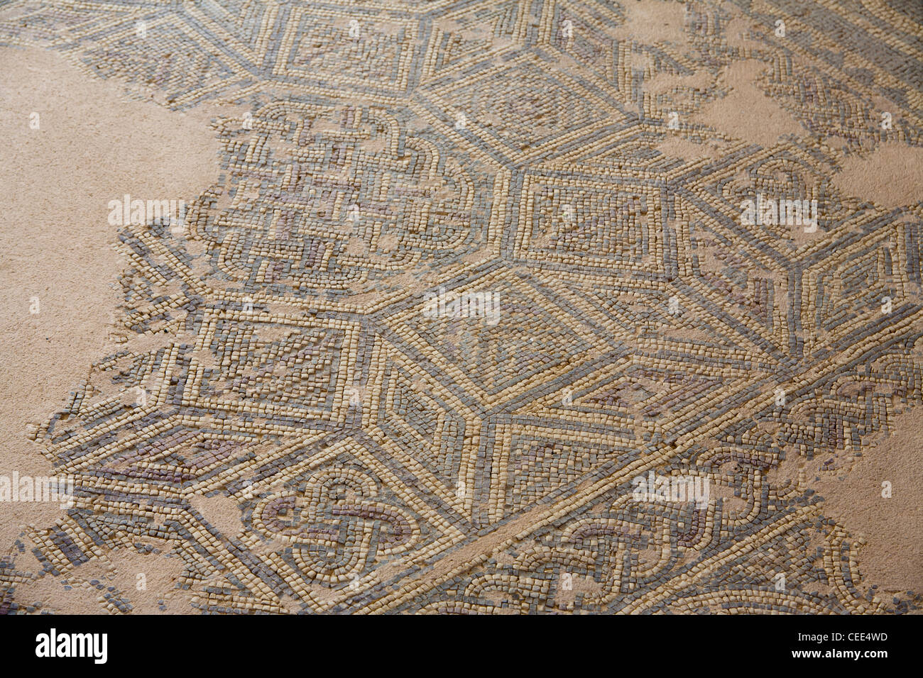 mosaics in the House of Theseus House of Dionysus, Tombs of the kings ...