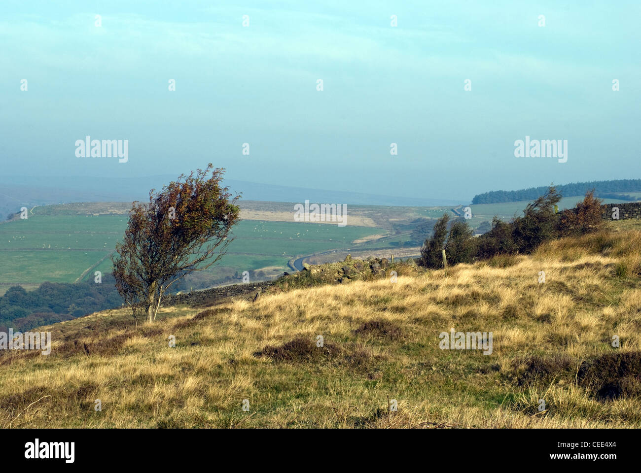 lone on the moors Stock Photo - Alamy