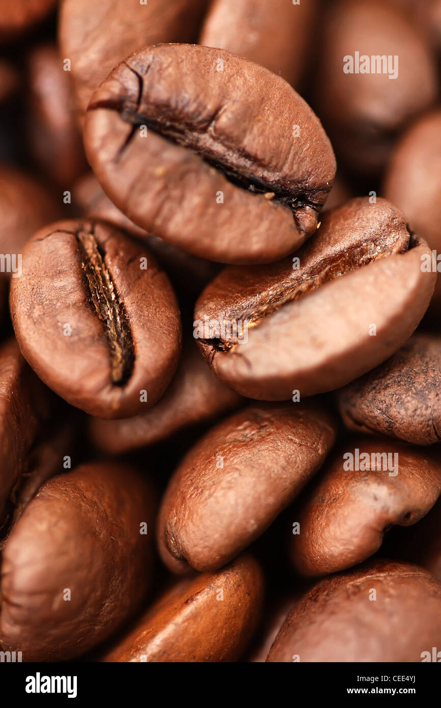 Coffee bean display hi-res stock photography and images - Alamy