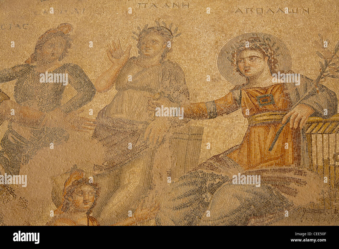 mosaics in the House of Theseus House of Dionysus, Tombs of the kings ...