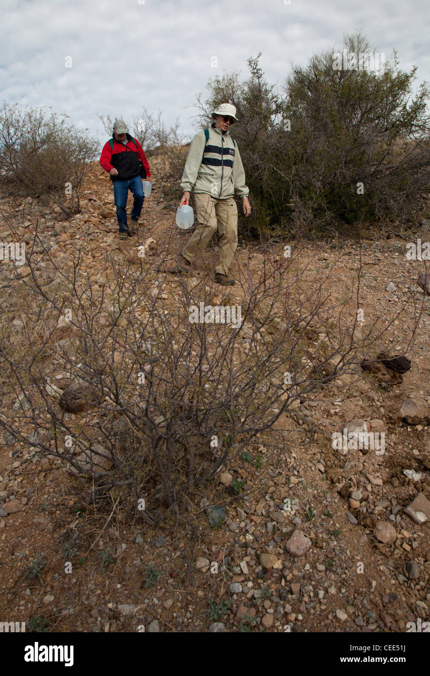 Volunteers Patrol Arizona Desert to Prevent Deaths of Migrants Crossing ...