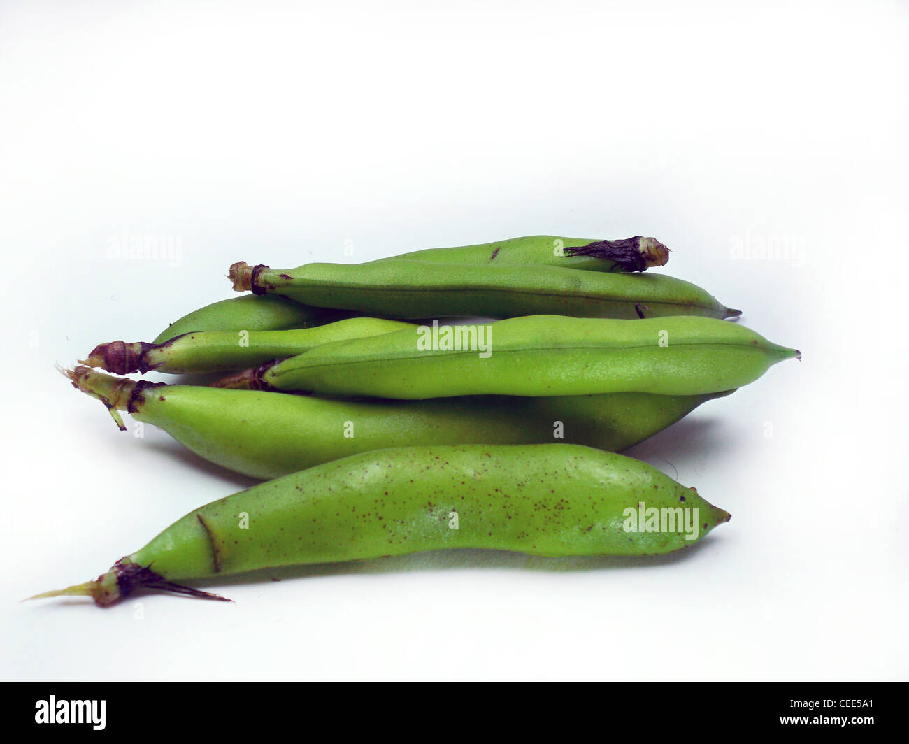 bunch of broad beans on a white background Stock Photo - Alamy