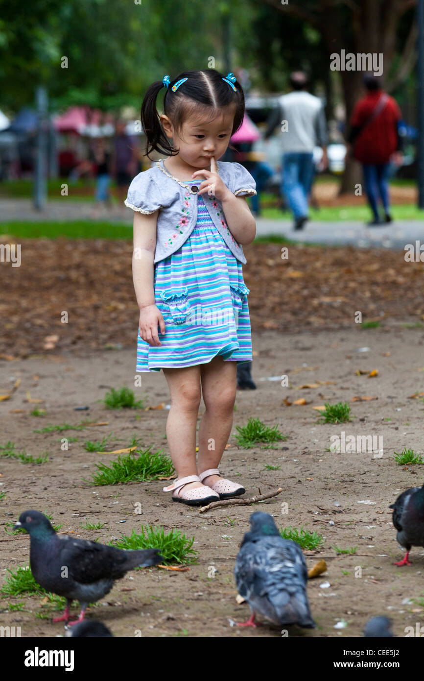 Asian toddler staring at pigeons, Belmore Park, Central, Sydney ...