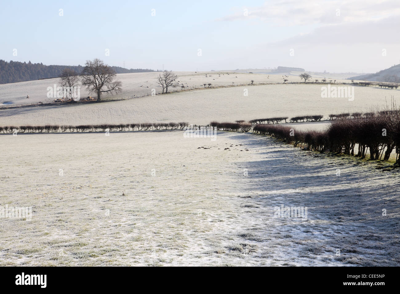 Frozen field hi-res stock photography and images - Alamy