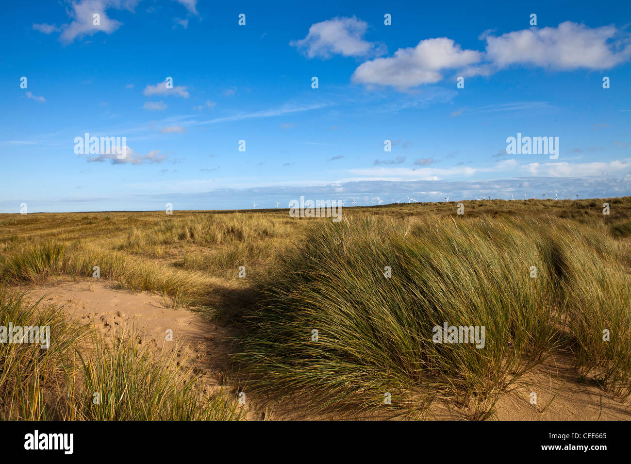 Windfarm at sea Stock Photo - Alamy