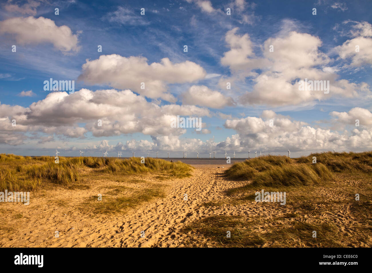 Windfarm at sea Stock Photo - Alamy