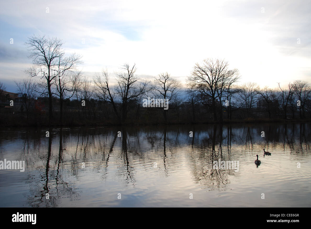 Dark forest pond hi-res stock photography and images - Alamy