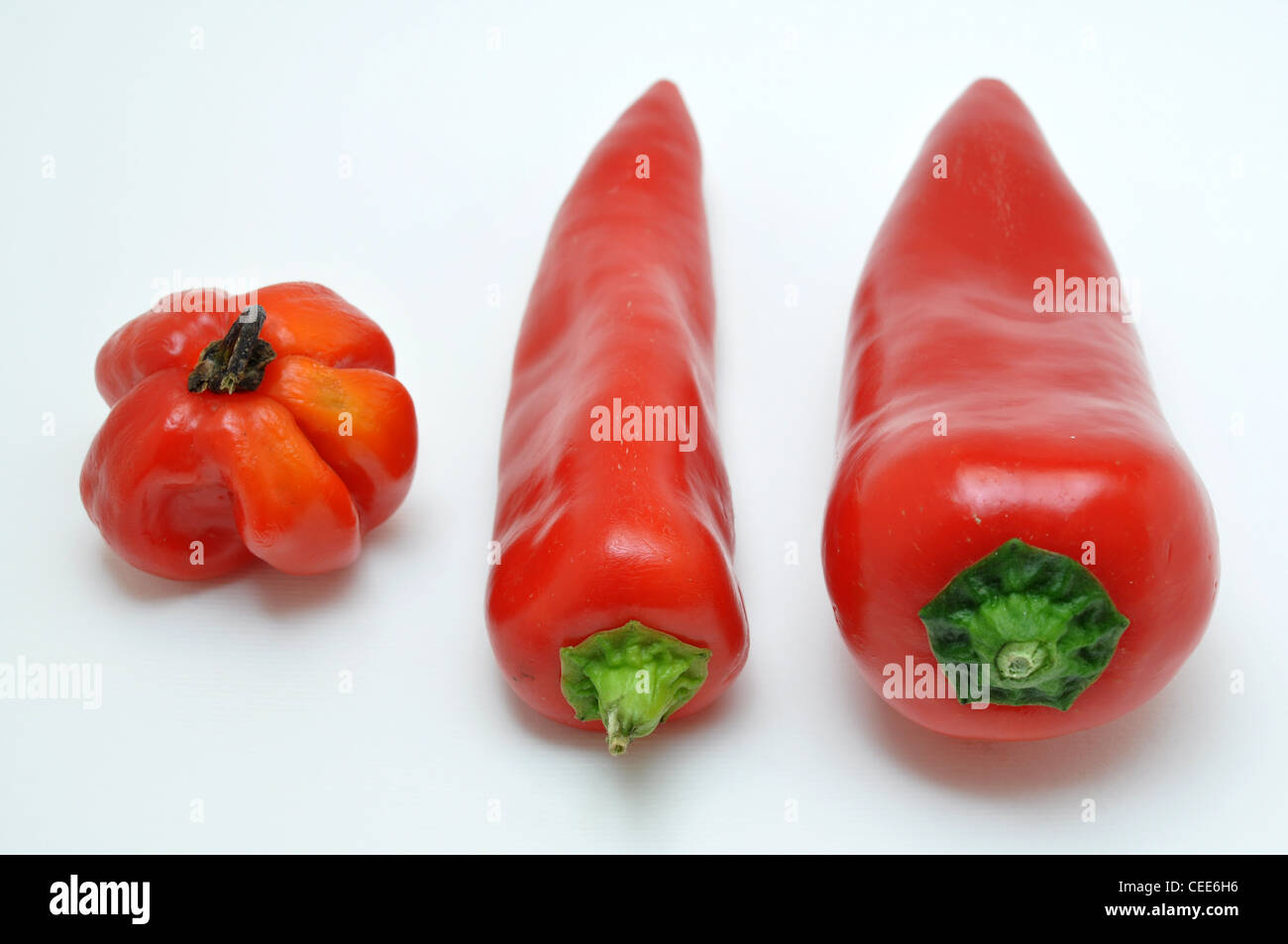 Capsicum genus hi-res stock photography and images - Alamy