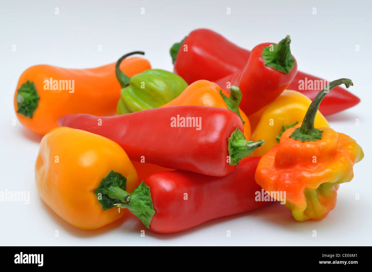 Capsicum genus hi-res stock photography and images - Alamy