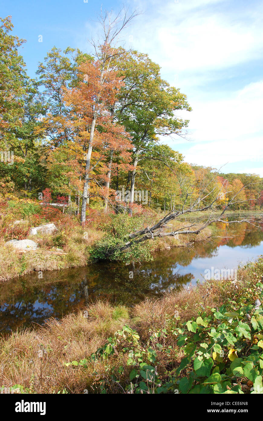 The fall landscape hi-res stock photography and images - Alamy