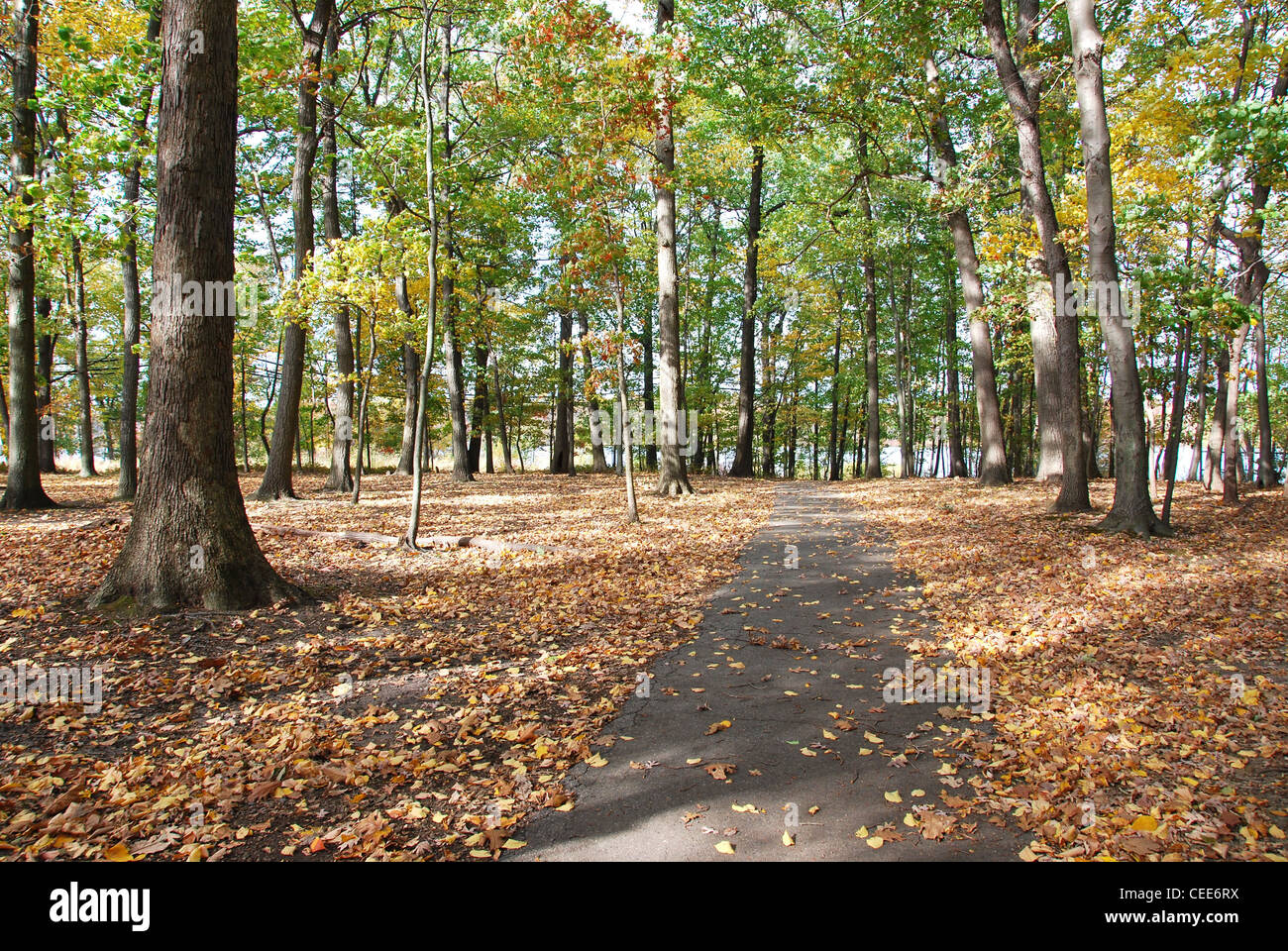 Fall color nature trail hi-res stock photography and images - Alamy