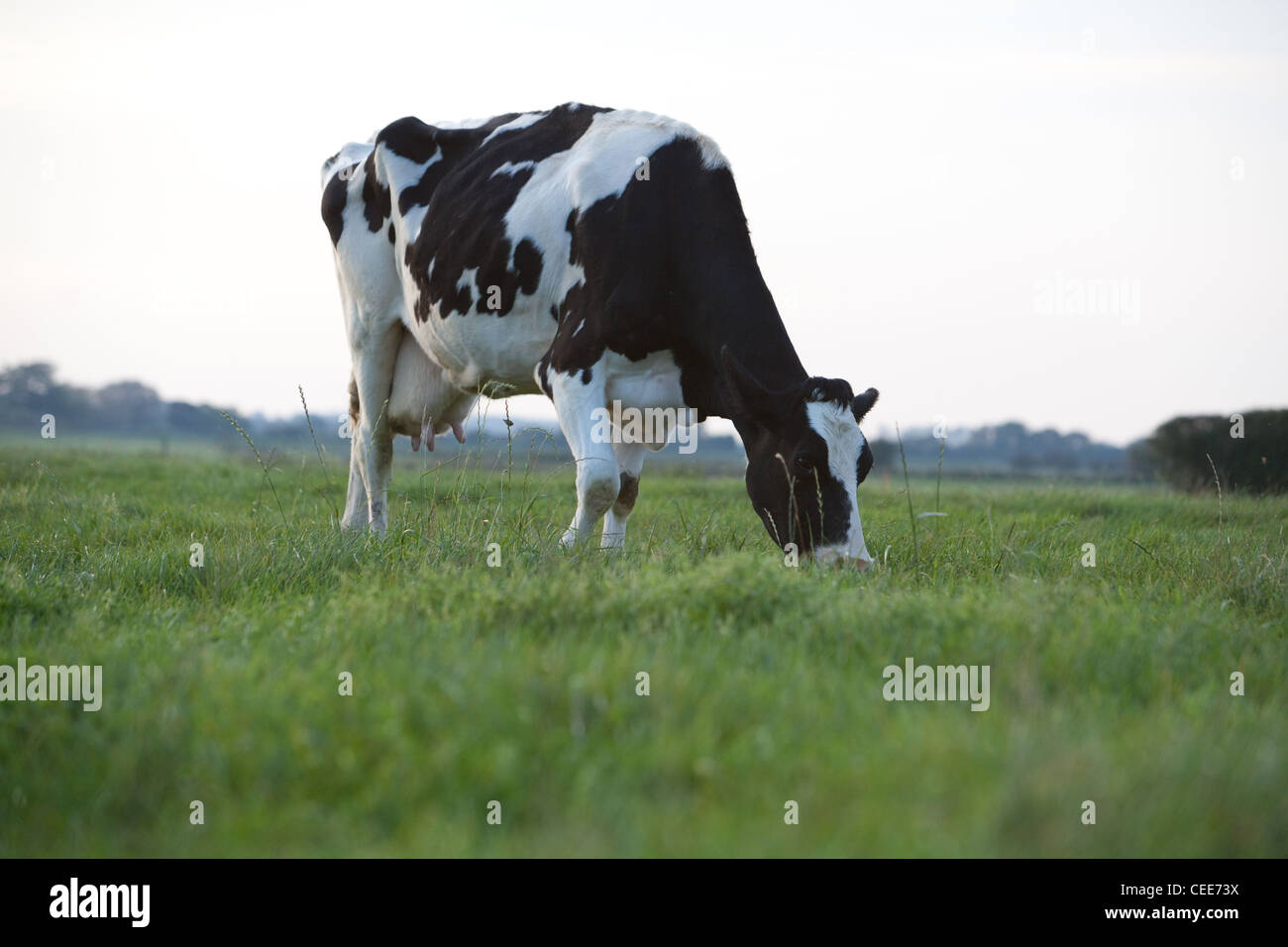 Brue valley hi-res stock photography and images - Alamy