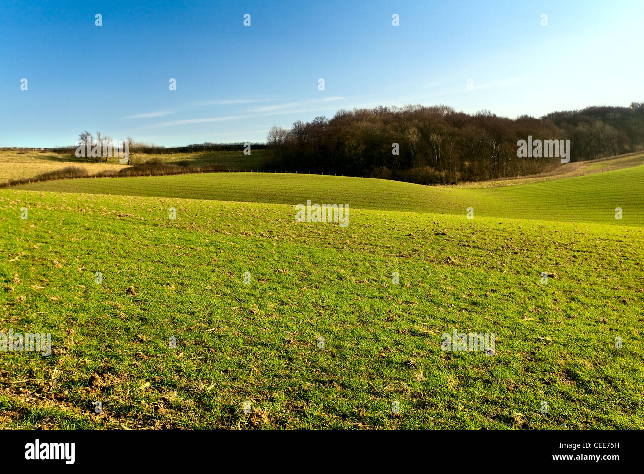Dutch Limburg landscape with green hills and blue clear sky Stock Photo ...