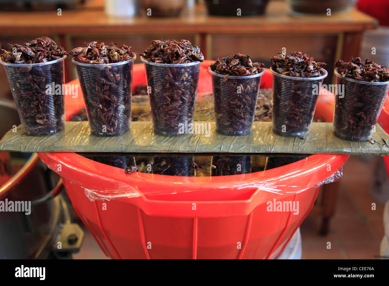 Chapulines, Fried Grasshoppers, Market, Oaxaca City, Oaxaca, Mexico ...