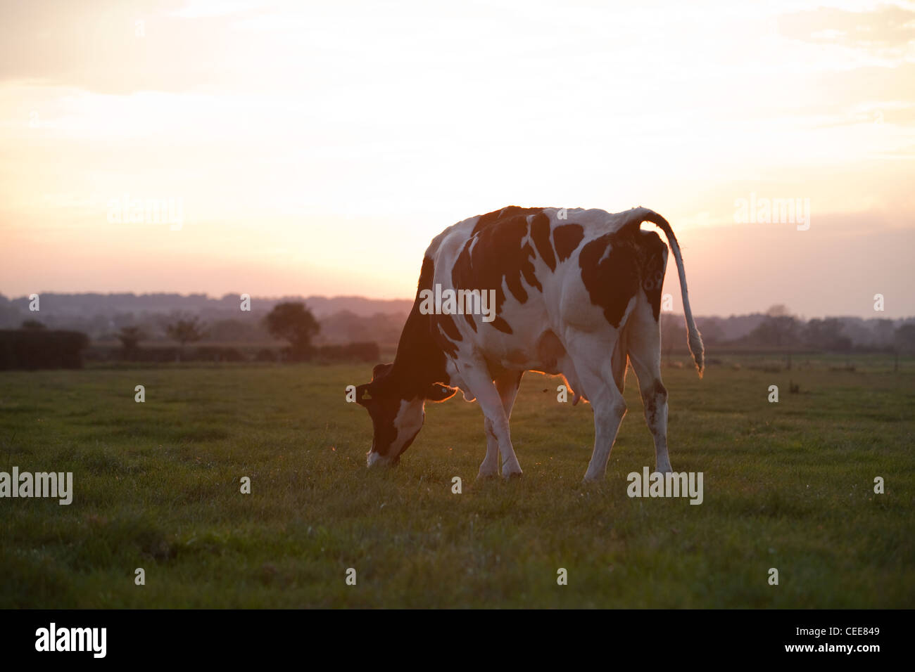 Brue valley hi-res stock photography and images - Alamy