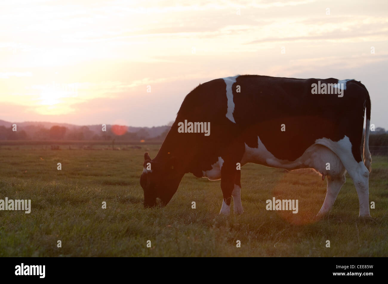 Brue valley hi-res stock photography and images - Alamy