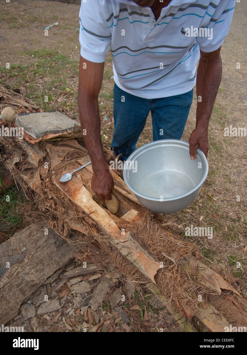 A Costa Rican family makes moonshine from the local trees Stock Photo ...