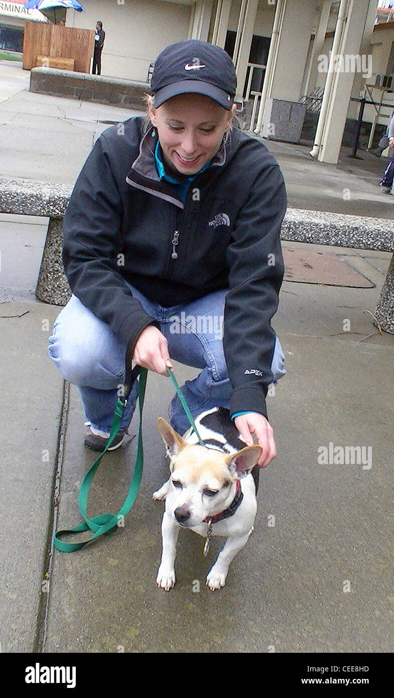 military working dog handler Stock Photo - Alamy