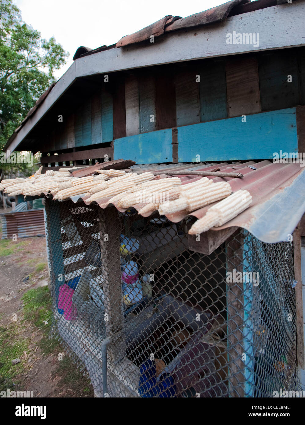 A Costa Rican family makes moonshine from the local trees Stock Photo ...