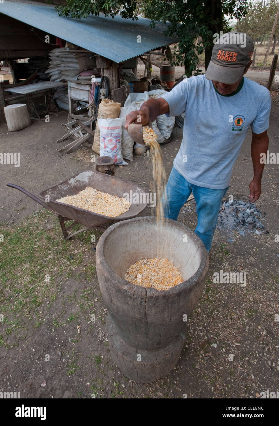 A Costa Rican family makes moonshine from the local trees Stock Photo ...