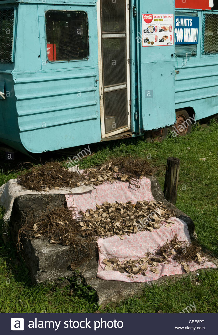 Kava Kava Stock Photos & Kava Kava Stock Images - Alamy