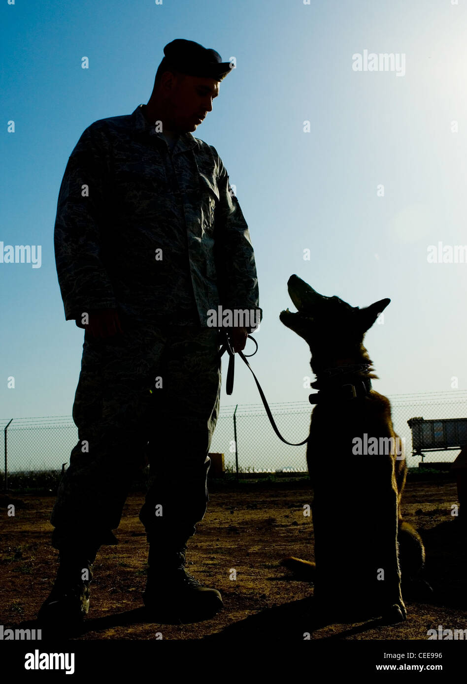 Air force security k 9 handler hi-res stock photography and images - Alamy