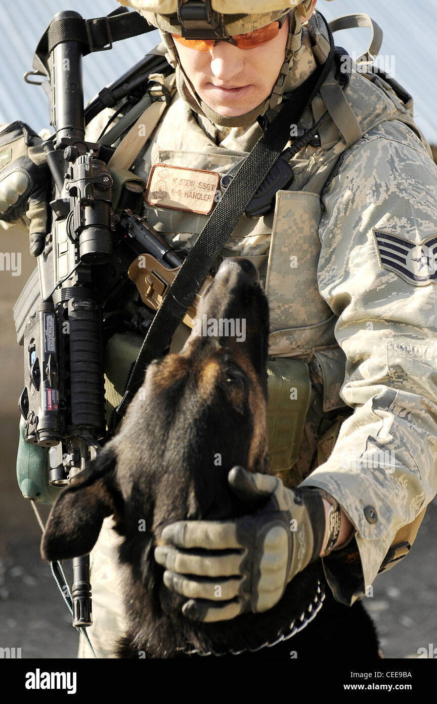 Security forces k9 handler dog hi-res stock photography and images - Alamy