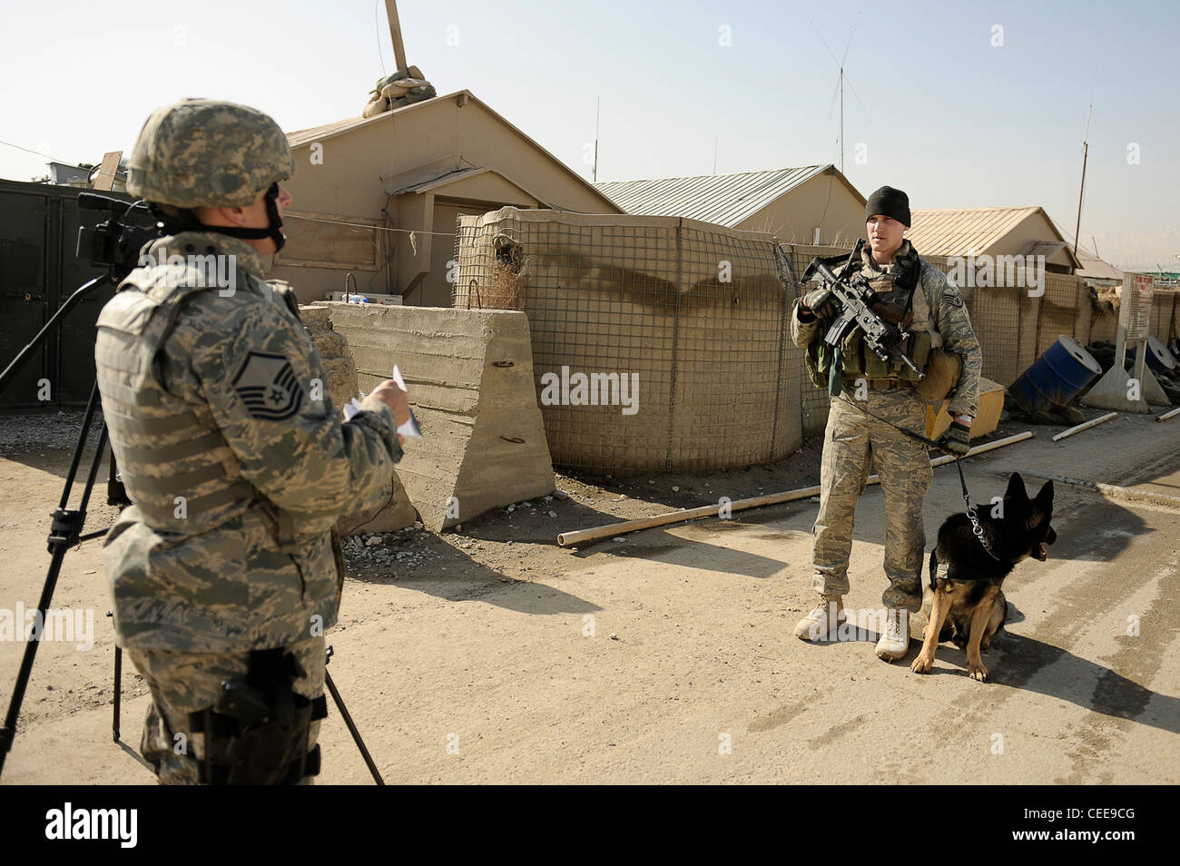 Security forces k9 handler dog hi-res stock photography and images - Alamy