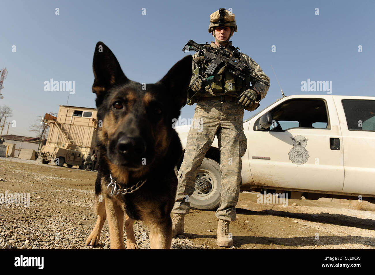 Security forces k9 handler dog hi-res stock photography and images - Alamy