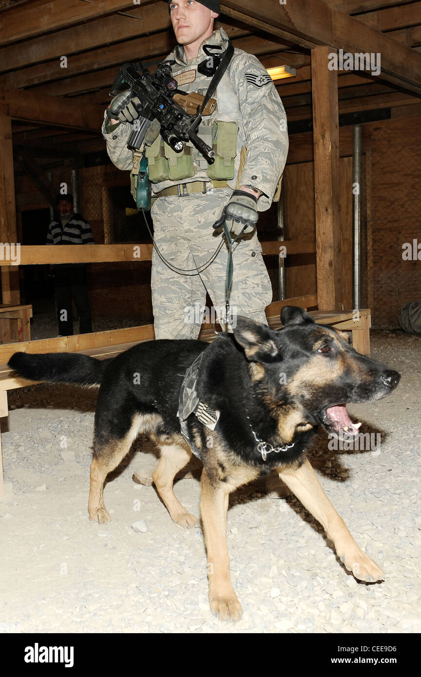Security forces k9 handler dog hi-res stock photography and images - Alamy