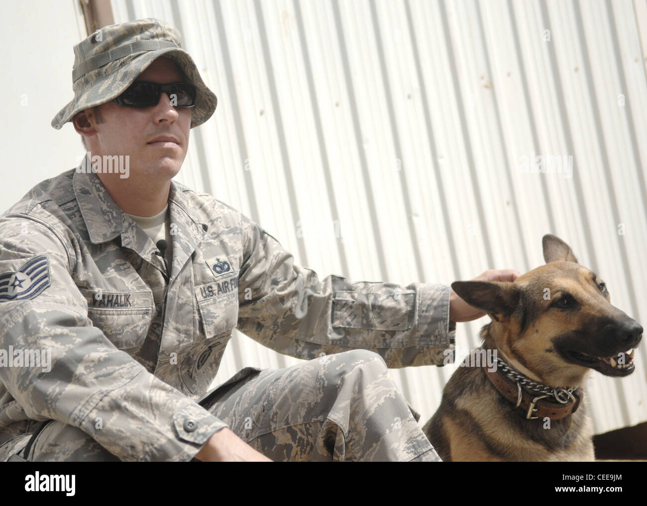 Security forces k9 handler dog hi-res stock photography and images - Alamy