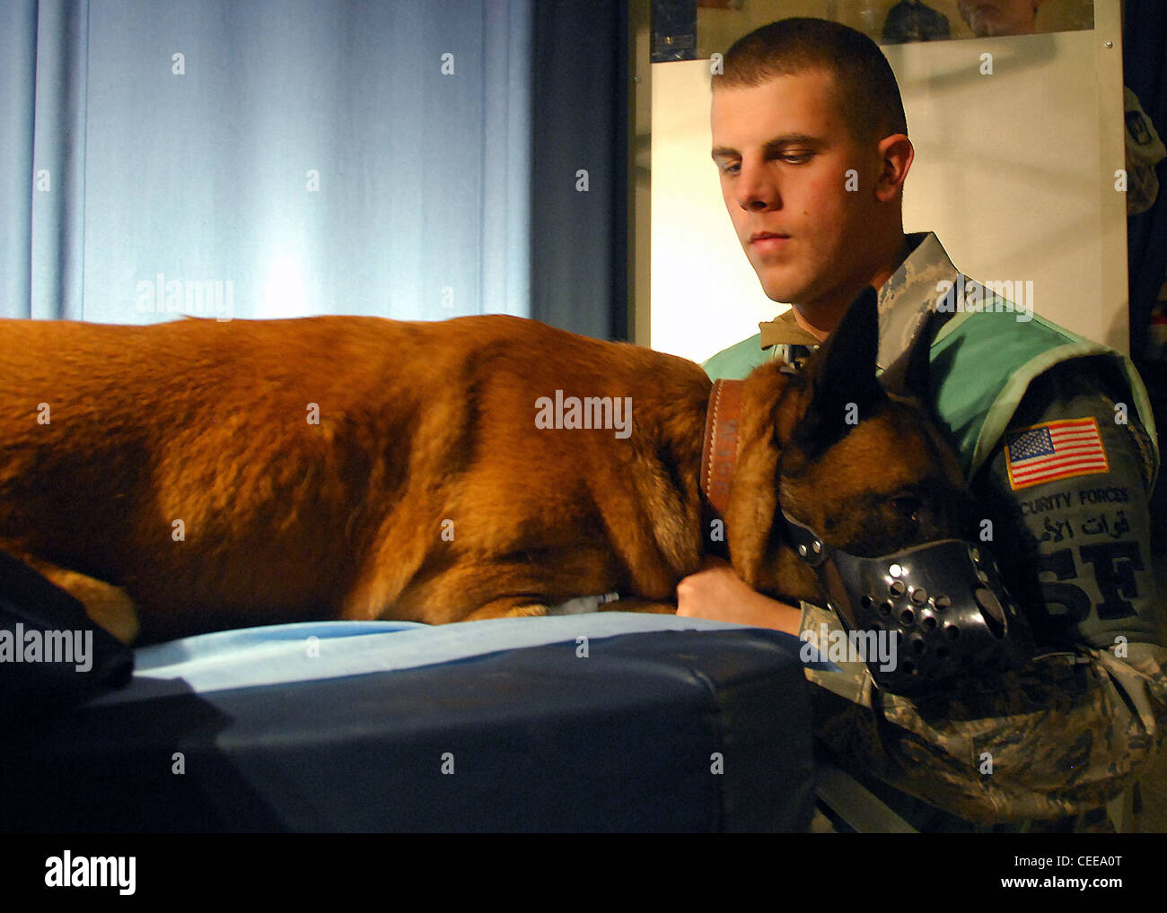 Daren a hi-res stock photography and images - Alamy