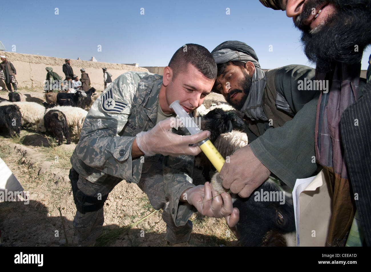 Staff Sgt. Don Elias deworms livestock during a veterinary medical ...