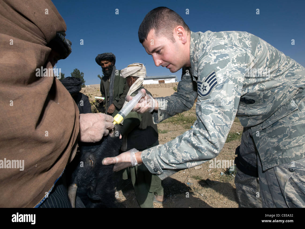 Staff Sgt. Don Elias deworms livestock during a veterinary medical ...