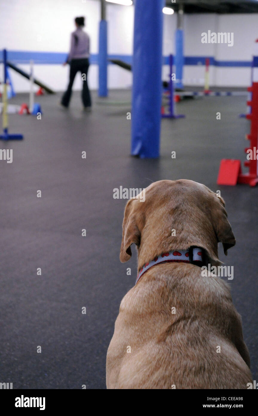 First Lt. Heather Greatting checks out an obstacle course during ...