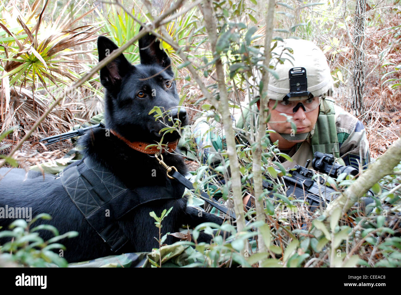 Sergeant jones hi-res stock photography and images - Alamy