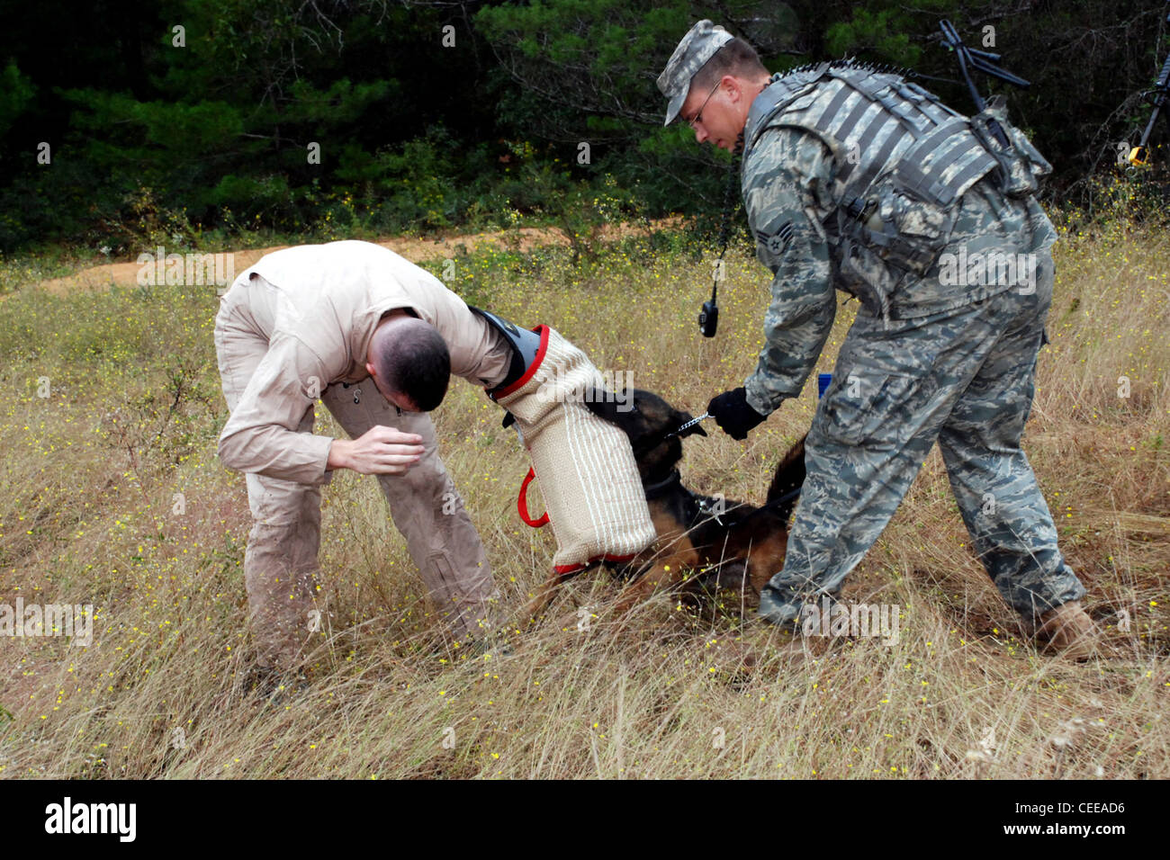 42nd security forces squadron hi-res stock photography and images - Alamy