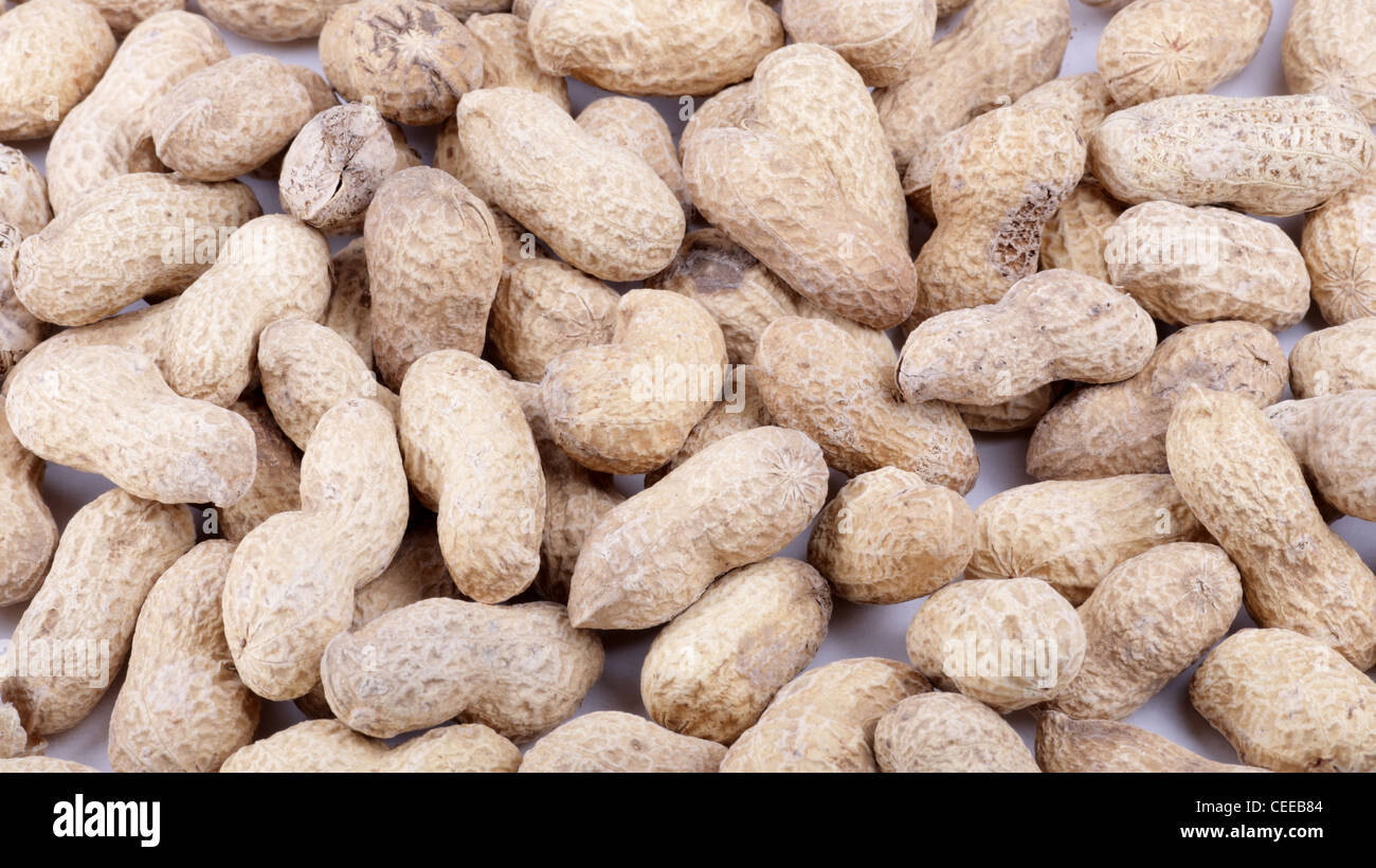Groundnut hi-res stock photography and images - Alamy