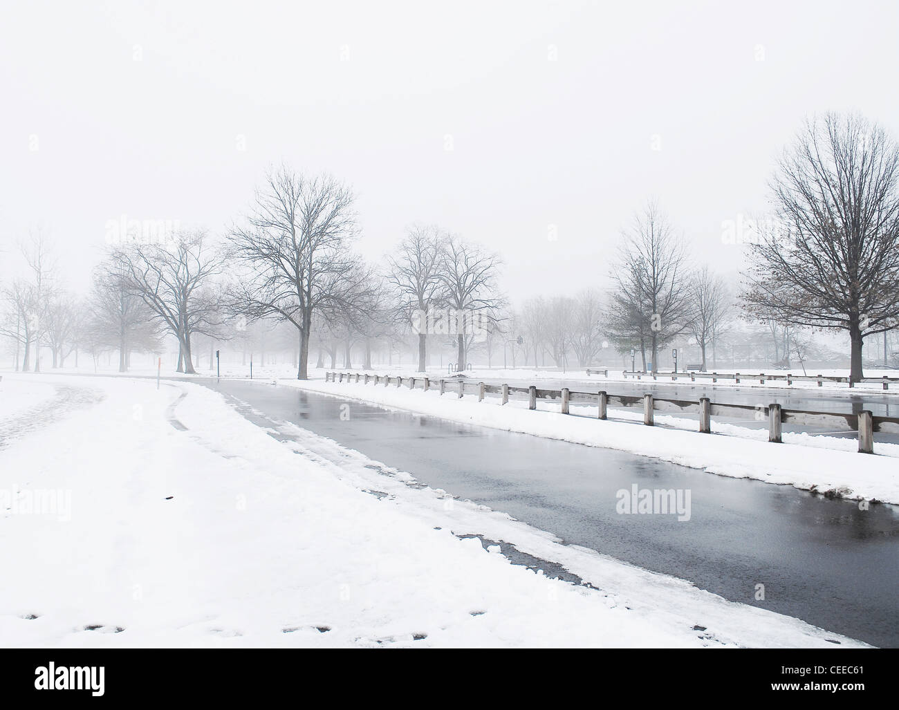 Tree snow mist hi-res stock photography and images - Alamy