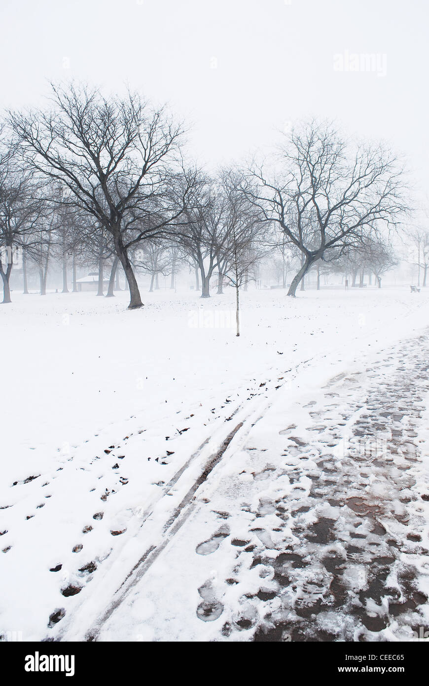Fog footpath hi-res stock photography and images - Alamy