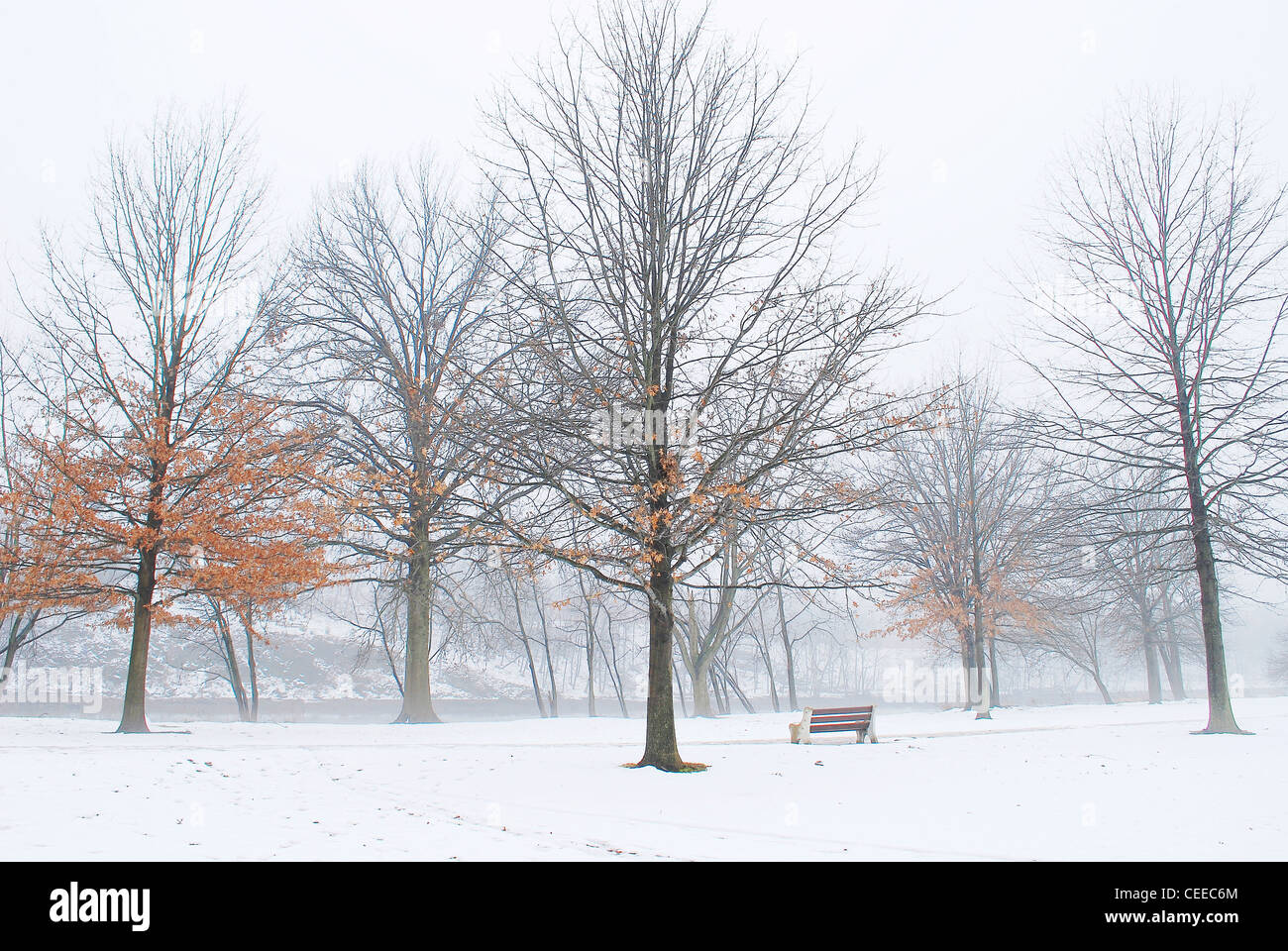 Tree snow mist hi-res stock photography and images - Alamy