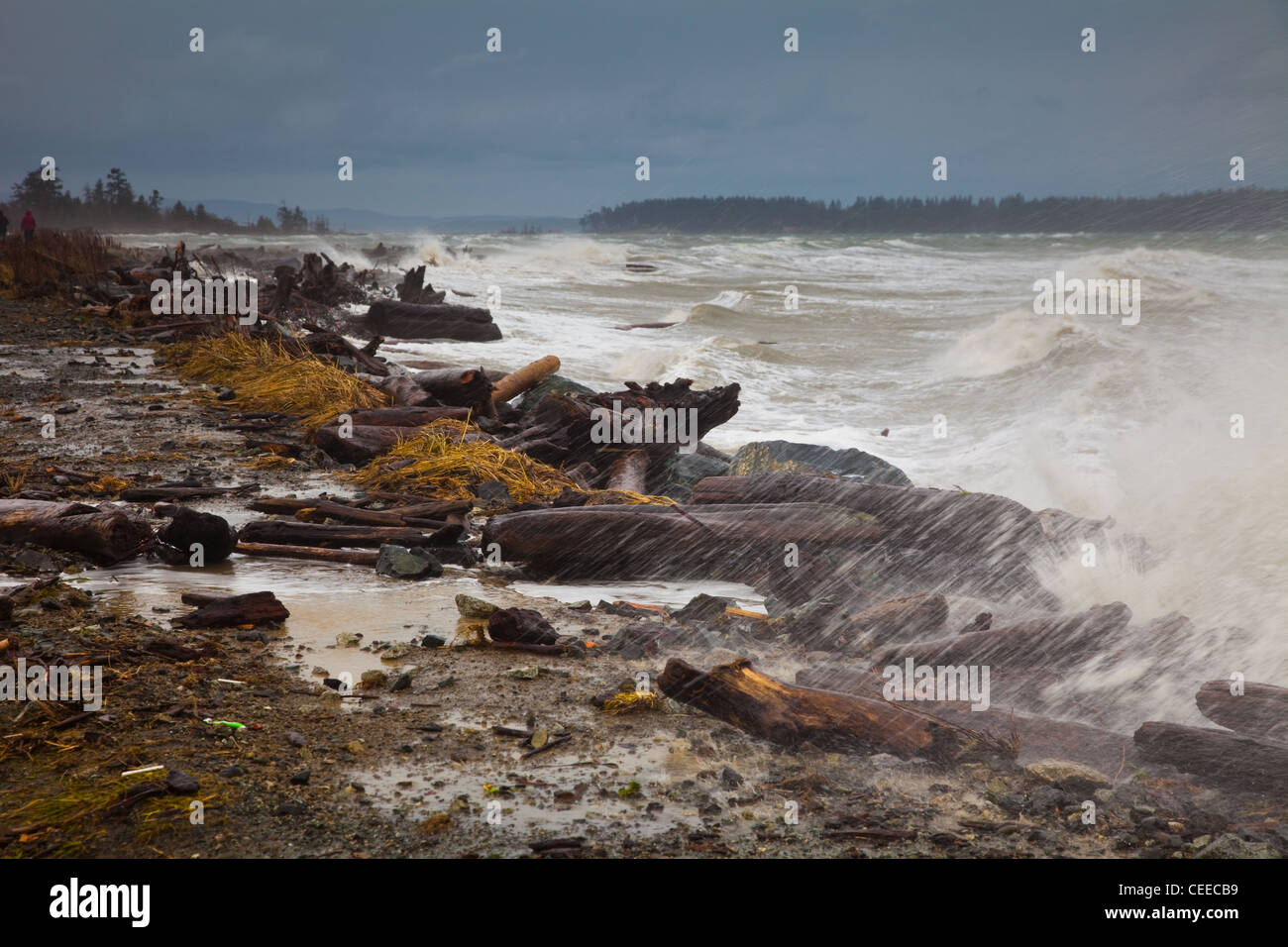 Storm action on Vancouver Island, Canada Stock Photo - Alamy