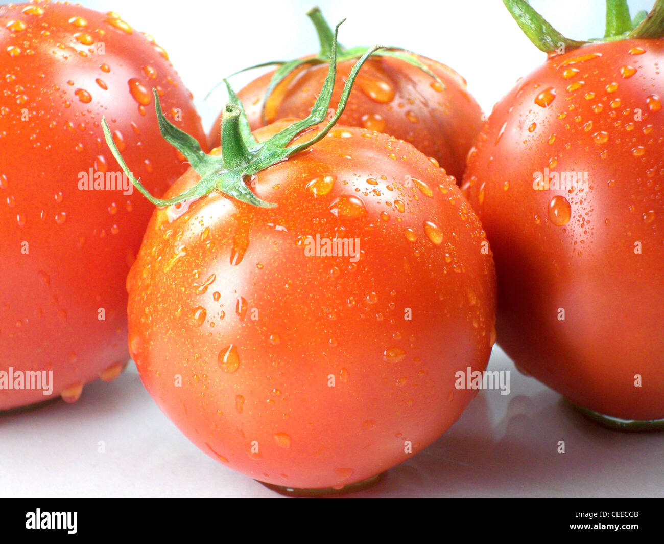 Fresh Red tomatoes isolated on white background Stock Photo - Alamy