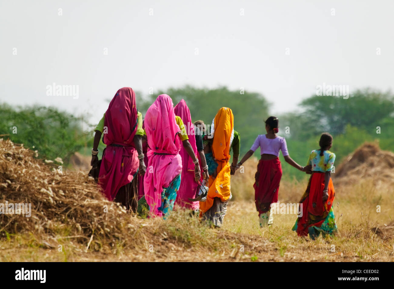 Girls wearing colorful sari, Pushkar, Rajasthan, India Stock Photo - Alamy